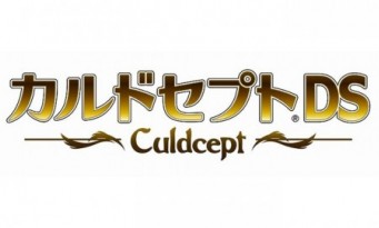 Jaquettes Culdcept DS