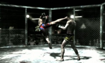 Preview Test Supremacy MMA
